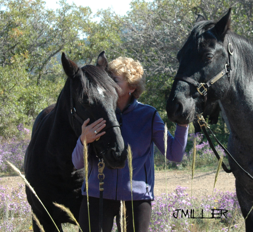 The Horse as Partner, not a tool- Guest Blog Angela Dunning - Jody L ...